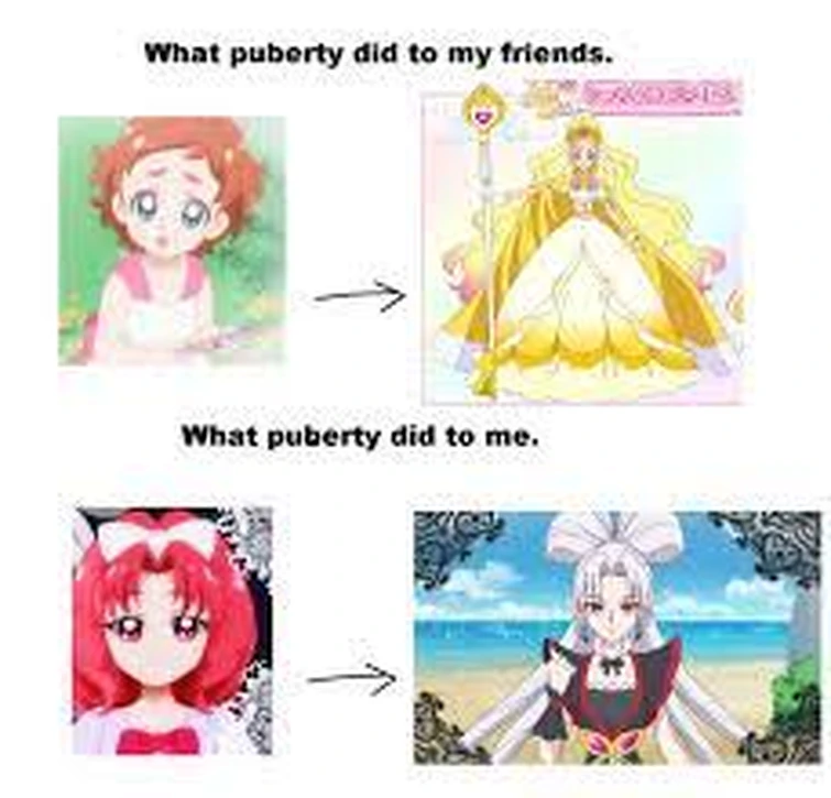 I'm Bored, So You Can Blow Up My Notifs With Funny PreCure Memes! | Fandom