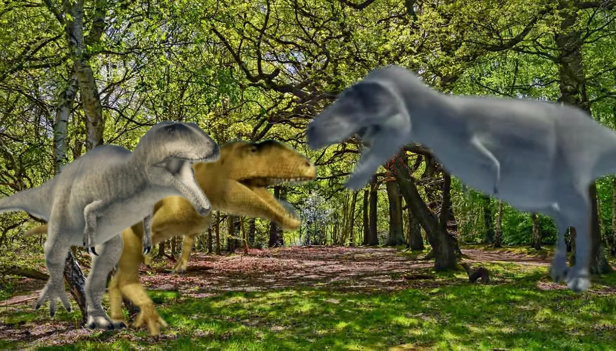 New Fan Series of Dwm wiki! | Fandom