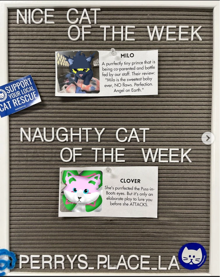 Discuss Everything About Etheriapedia | Fandom