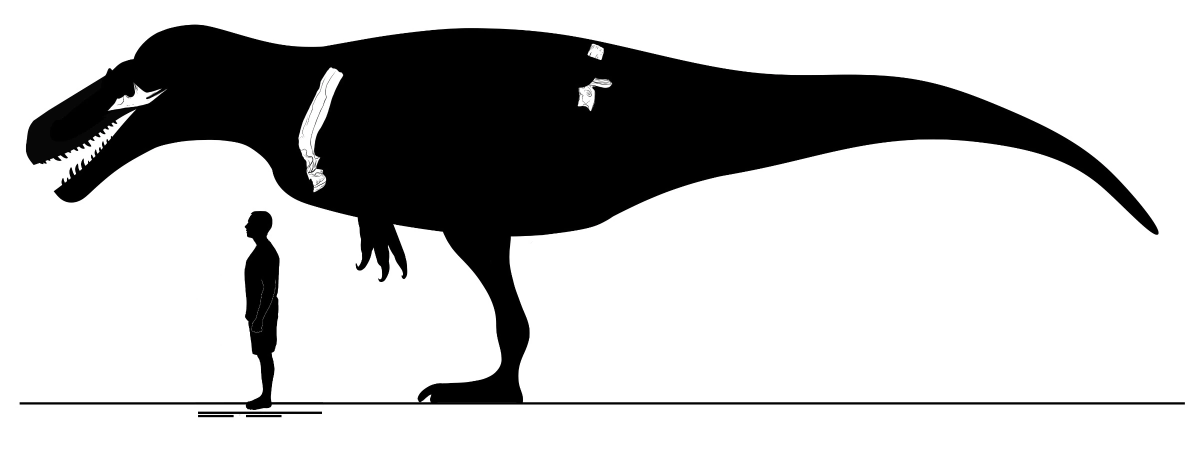 Here is all of Edmarka material | Fandom