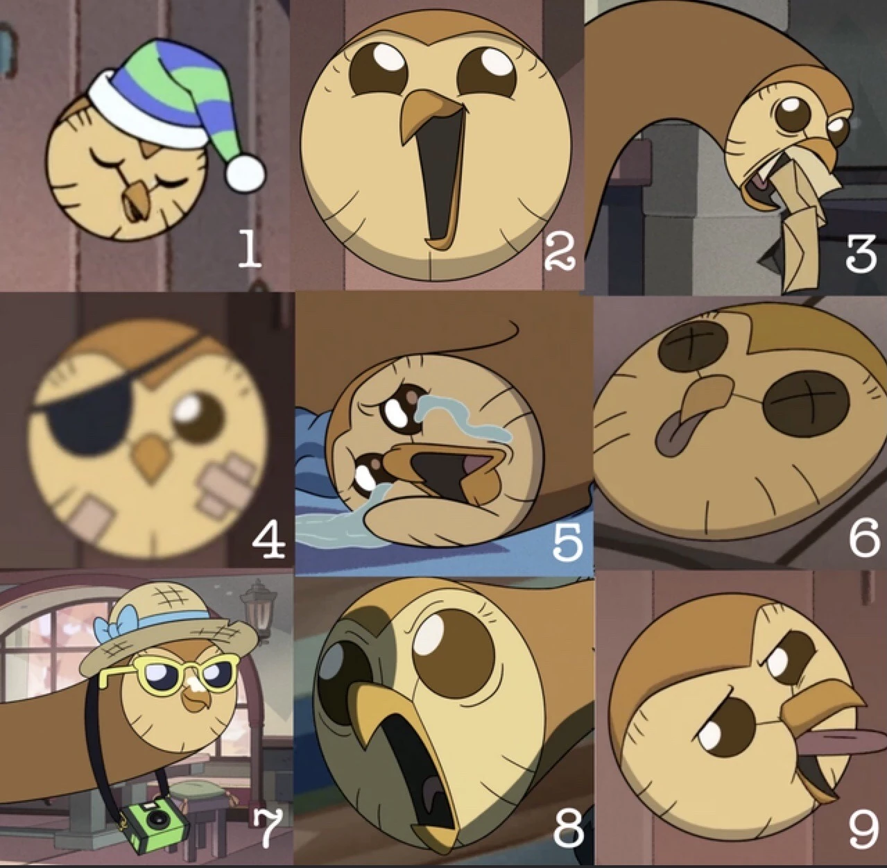 which hooty are you feeling today | Fandom