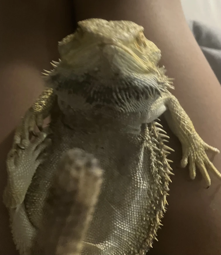 What variant/mutation is this | Fandom