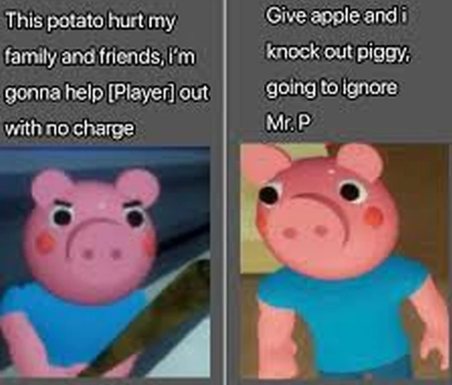 meme of the *insert day here* 5 | Fandom