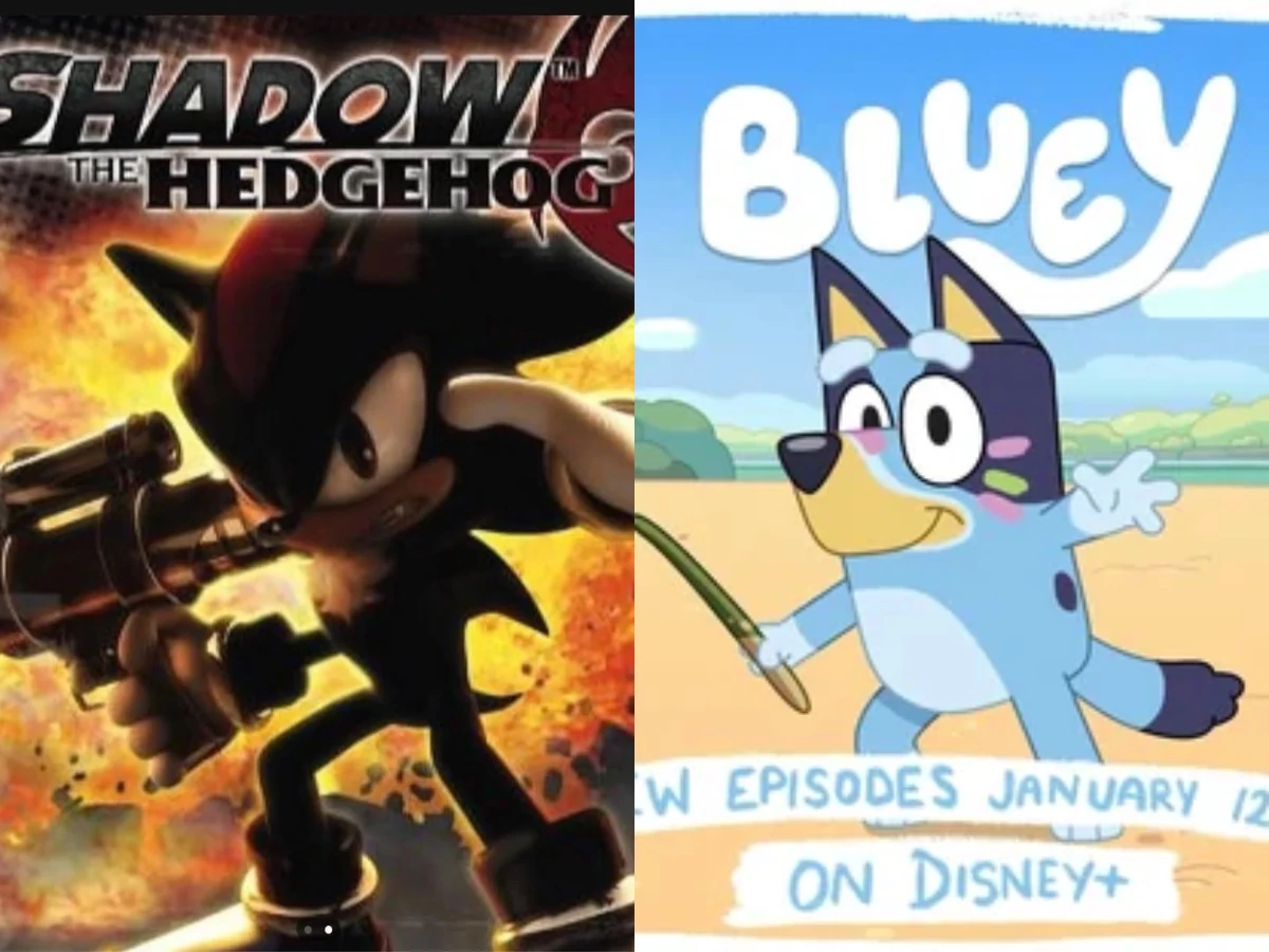 bluey is a Shadow the hedgehog fan. | Fandom