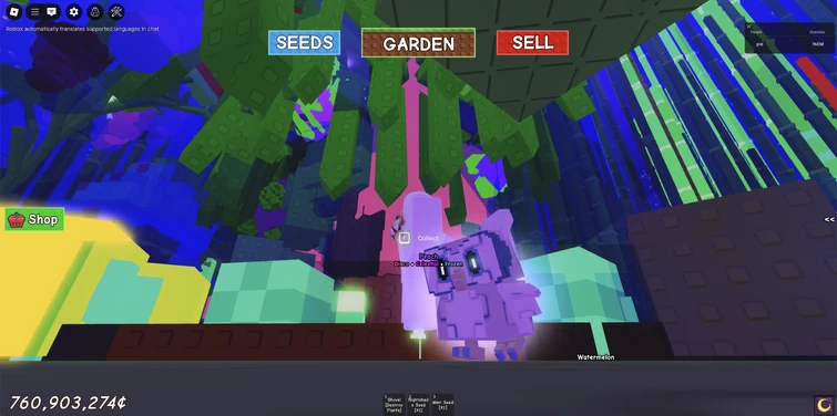 rng blessed me with a disco overgrown mango | Fandom