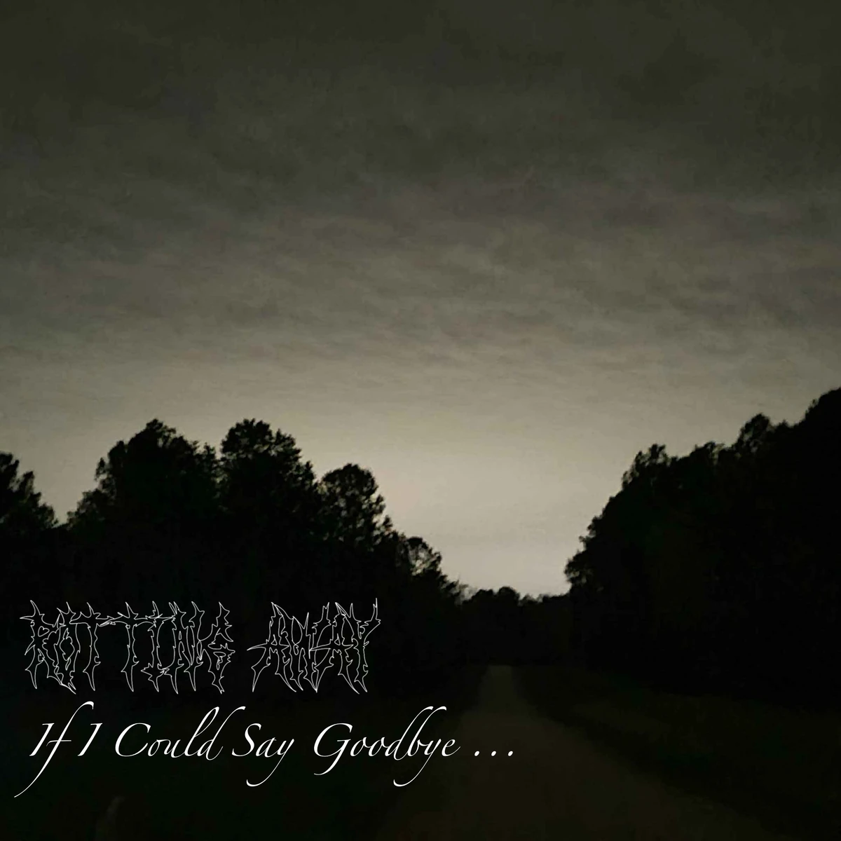If I Could Say Goodbye | Aedhget Wiki | Fandom