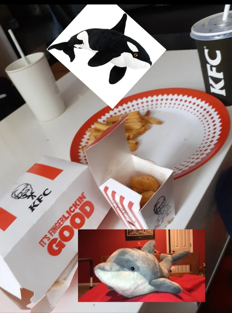 Dolphin and orca eating kfc | Fandom