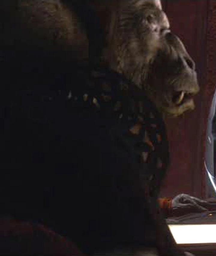 Who remembers this forgotten character? | Fandom