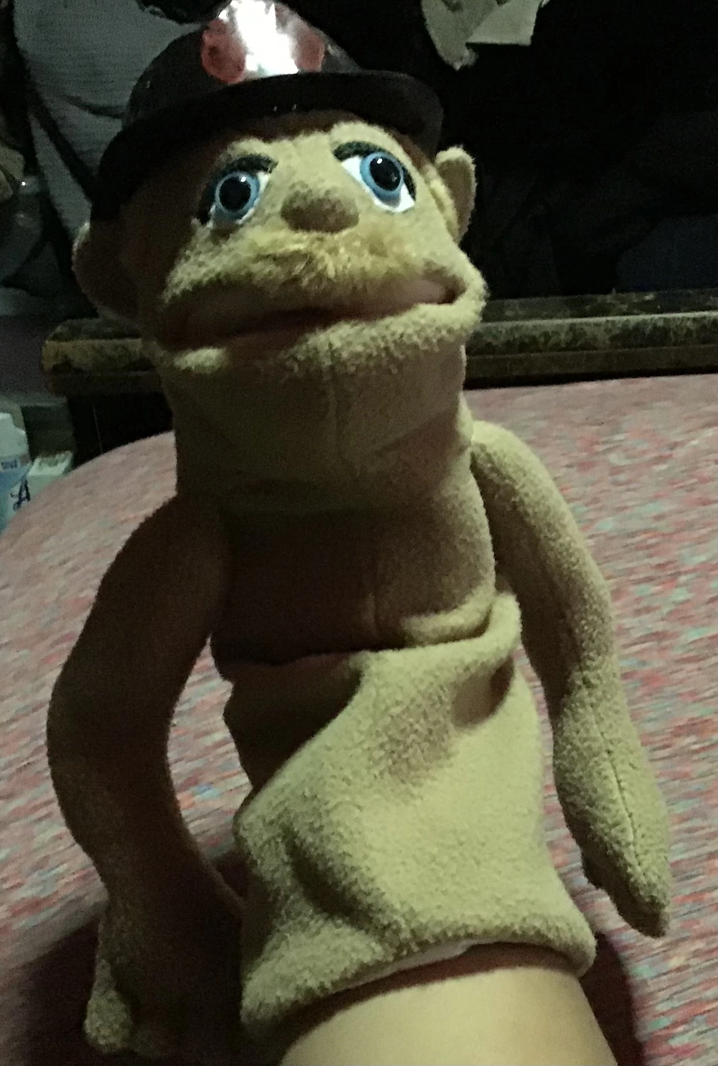 I got Brooklyn T. Guy! | Fandom