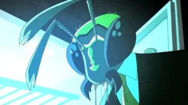 Choose a bee | Fandom