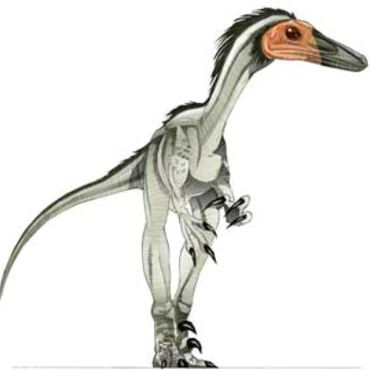 Discuss Everything About Dinopedia | Fandom