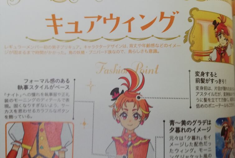 The information of Cure Wing/Tsubasa Yuunagi (on 20th Anniversary ...