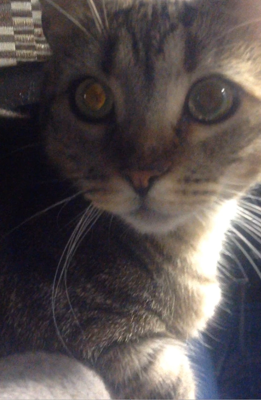 R.I.P Jesse | Fandom