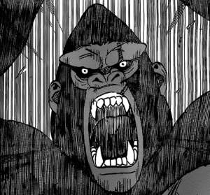 Macacos | Wiki A era velha e nova de naruto | Fandom