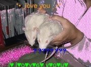 Weirdcore | Wiki Aesthetic Wiki En Español | Fandom