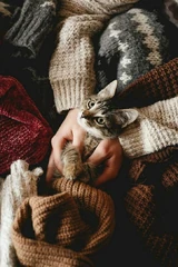 Cozycore | Aesthetics Wiki | Fandom