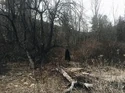 Forestpunk | Aesthetics Wiki | Fandom