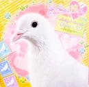 Heisei Retro | Aesthetics Wiki | Fandom