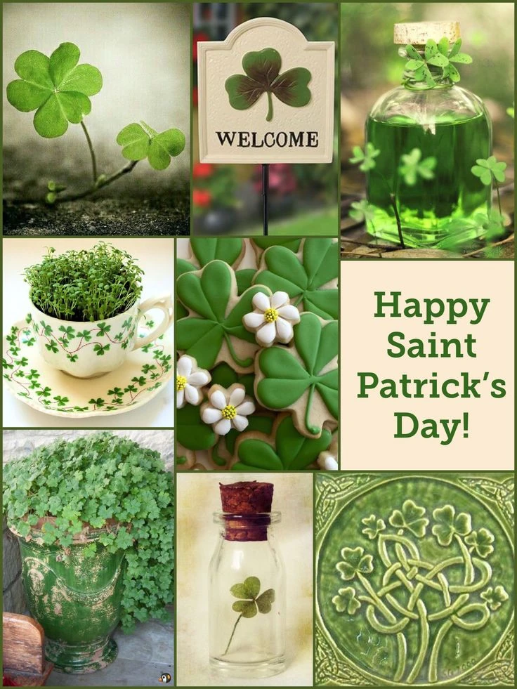 Saint Patrick's Day | Aesthetics Wiki | Fandom
