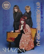 Visual Kei | Aesthetics Wiki | Fandom