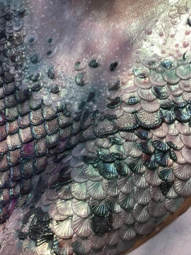 Real Mermaid Scales