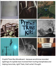 Cryptidcore | Aesthetics Wiki | Fandom