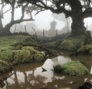 Gloomcore | Aesthetics Wiki | Fandom