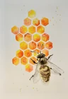 Honeycore | Aesthetics Wiki | Fandom