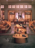 Frasurbane | Aesthetics Wiki | Fandom