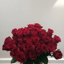 Lovecore | Aesthetics Wiki | Fandom