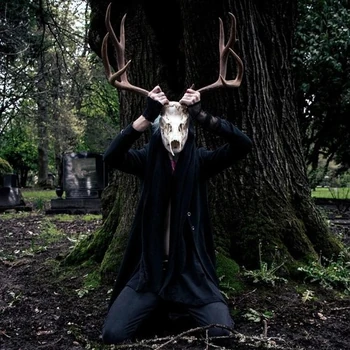 Forestpunk | Aesthetics Wiki | Fandom