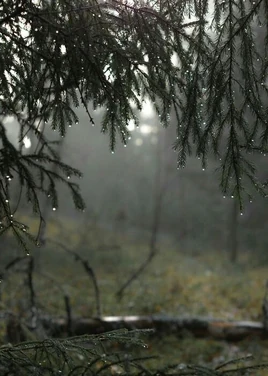 Gloomcore | Aesthetics Wiki | Fandom