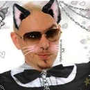 Neko | Aesthetics Wiki | Fandom