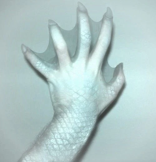 Starrflesh | Aesthetics Wiki | Fandom