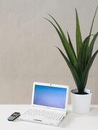 Technozen | Aesthetics Wiki | Fandom