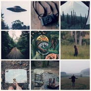 Cryptidcore | Aesthetics Wiki | Fandom