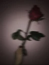 Devilcore | Aesthetics Wiki | Fandom