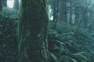 Gloomcore | Aesthetics Wiki | Fandom