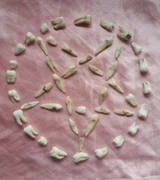 Teethcore | Aesthetics Wiki | Fandom