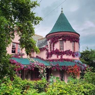 Gardencore | Aesthetics Wiki | Fandom