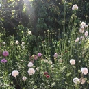 Bloomcore | Aesthetics Wiki | Fandom