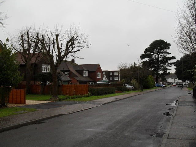 Regional Gothic | Aesthetics Wiki | Fandom