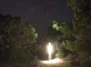 Lightcore | 美学 Wiki | Fandom