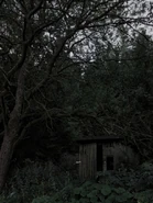 Cottagegore | Эстетика Вики | Fandom