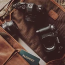 Cryptidcore | Aesthetics Wiki | Fandom