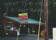 Cryptidcore | Aesthetics Wiki | Fandom