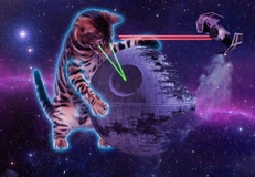 Internet Awesomesauce | Aesthetics Wiki | Fandom