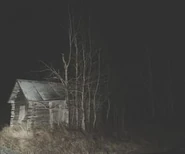 Cryptidcore | Aesthetics Wiki | Fandom