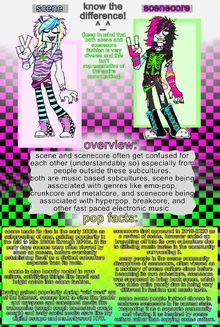 Scenecore | Aesthetics Wiki | Fandom