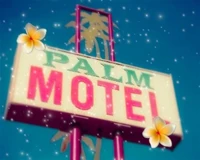 Tropicalcore | Aesthetics Wiki | Fandom